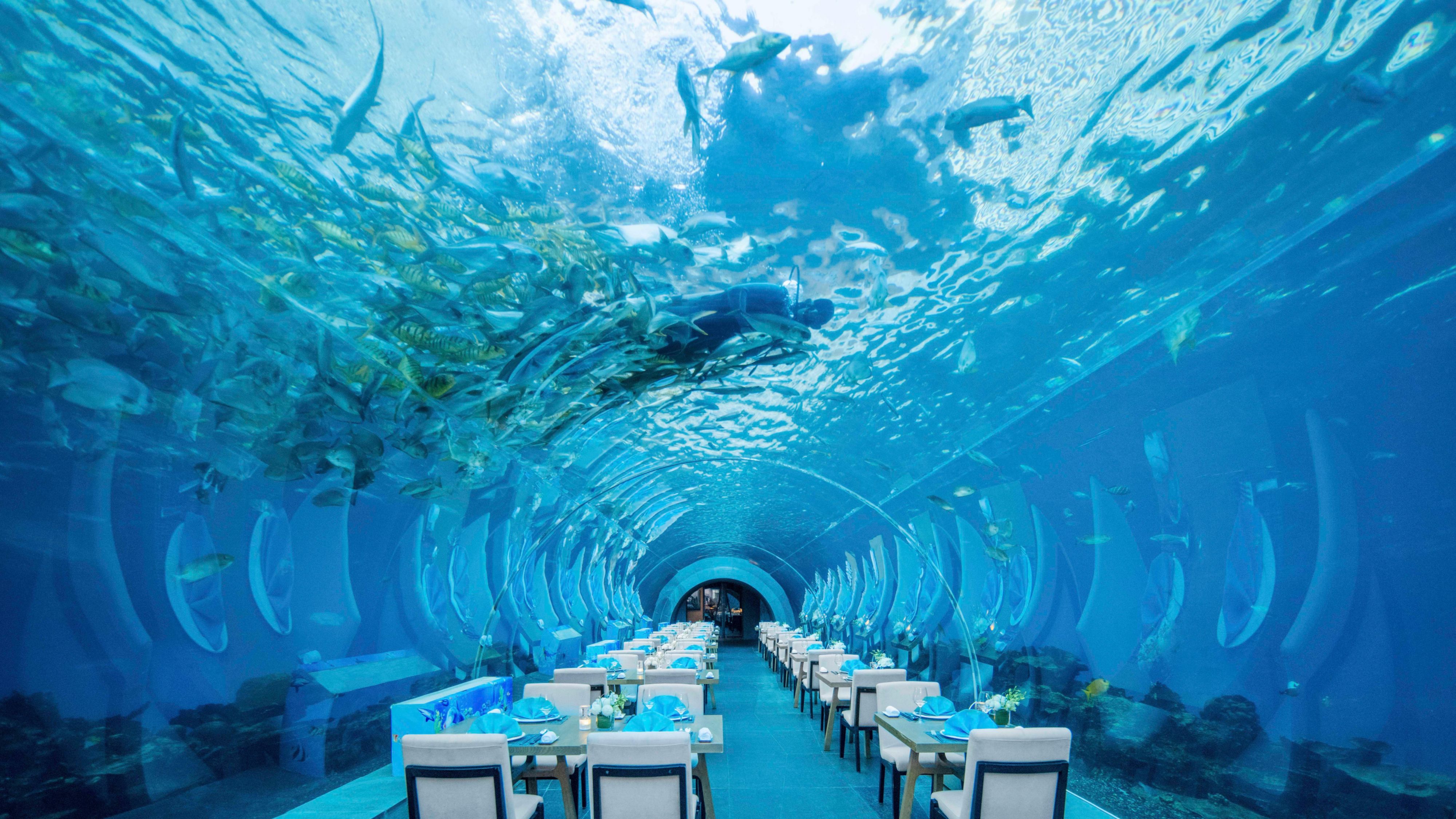 三亚的餐饮选择